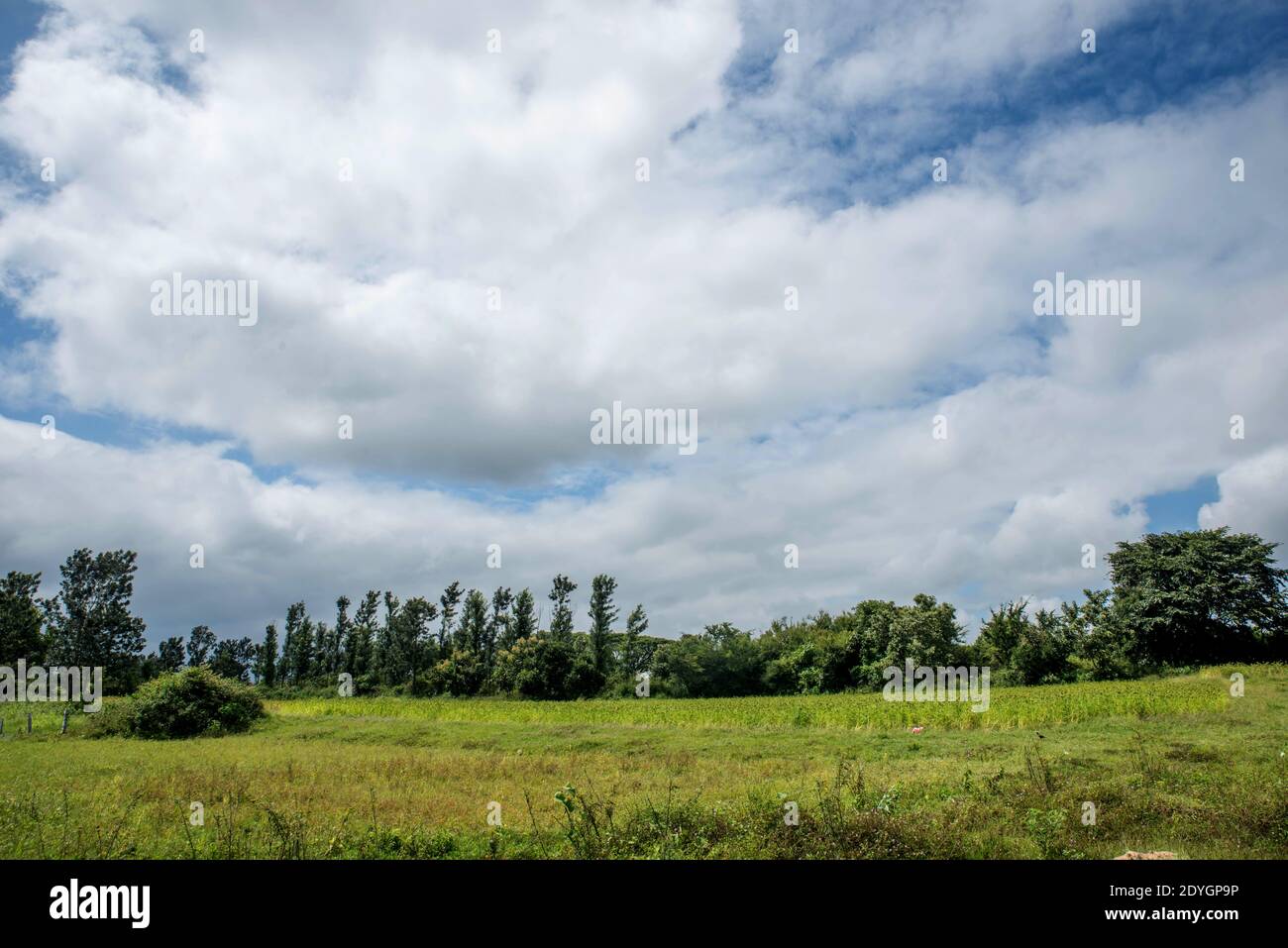 idyllic Country side Landscape - blue sky with white clouds Stock Photo ...