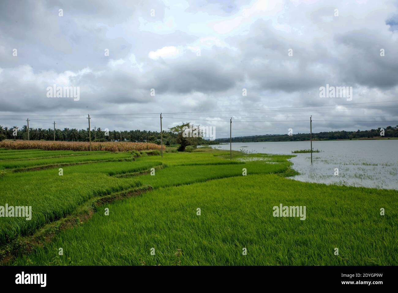 idyllic Country side Landscape - blue sky with white clouds Stock Photo ...