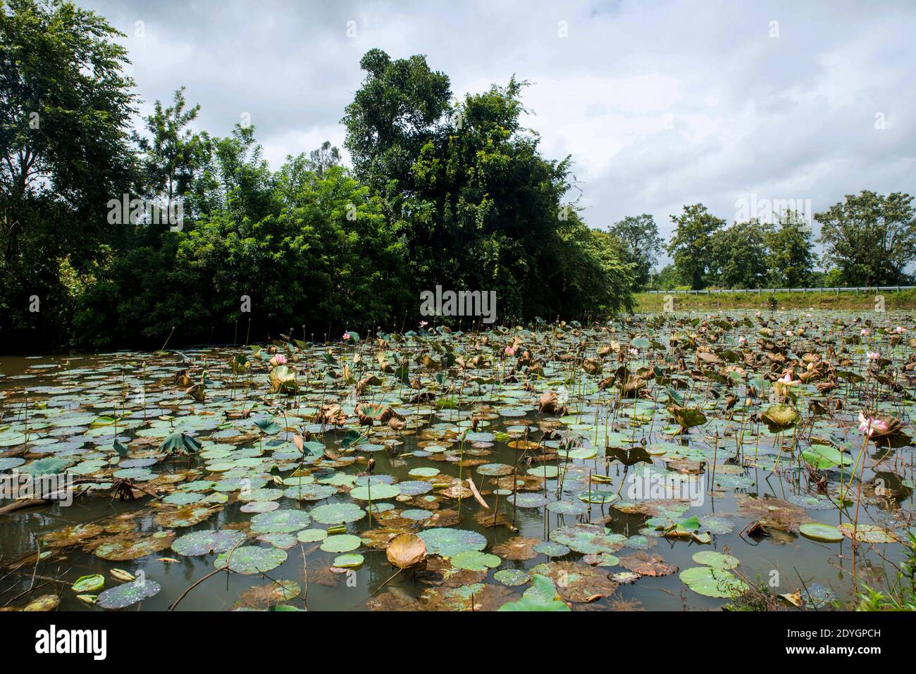idyllic Country side Landscape - blue sky with white clouds Stock Photo ...