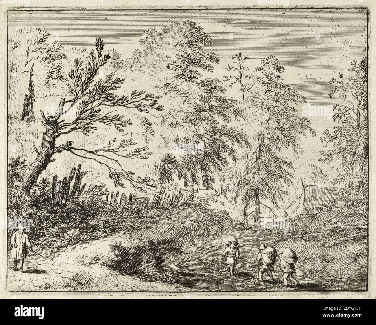 Hoge bomen hi-res stock photography and images - Alamy