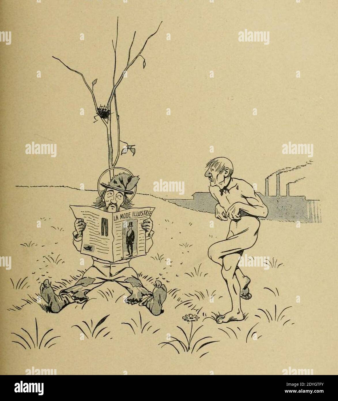 Labre hi-res stock photography and images - Alamy