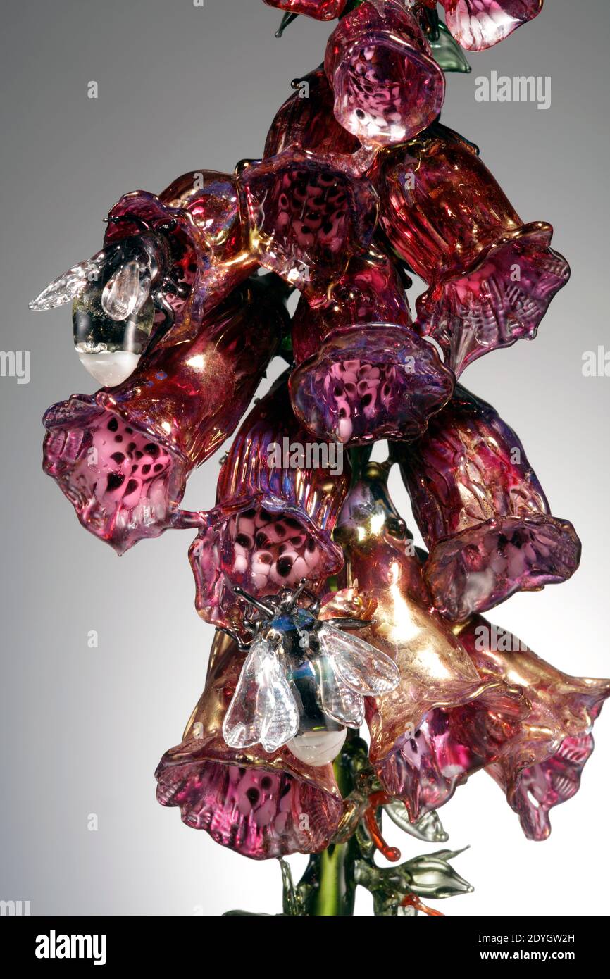 Sandra Young glass artist Stock Photo - Alamy