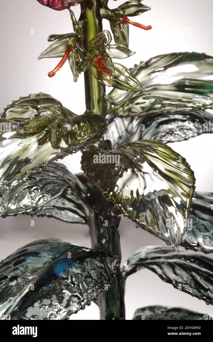 Sandra Young glass artist Stock Photo - Alamy