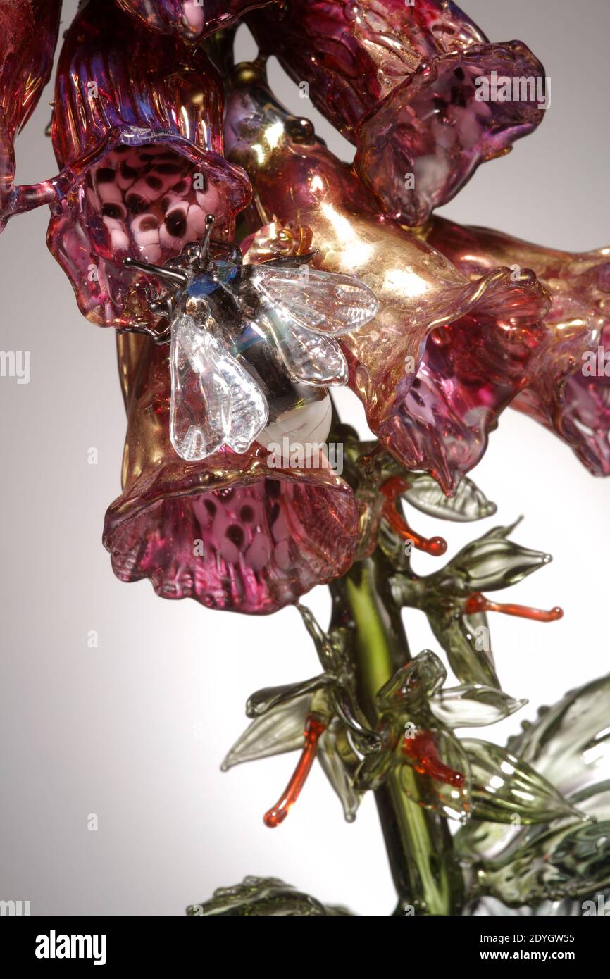 Sandra Young glass artist Stock Photo - Alamy