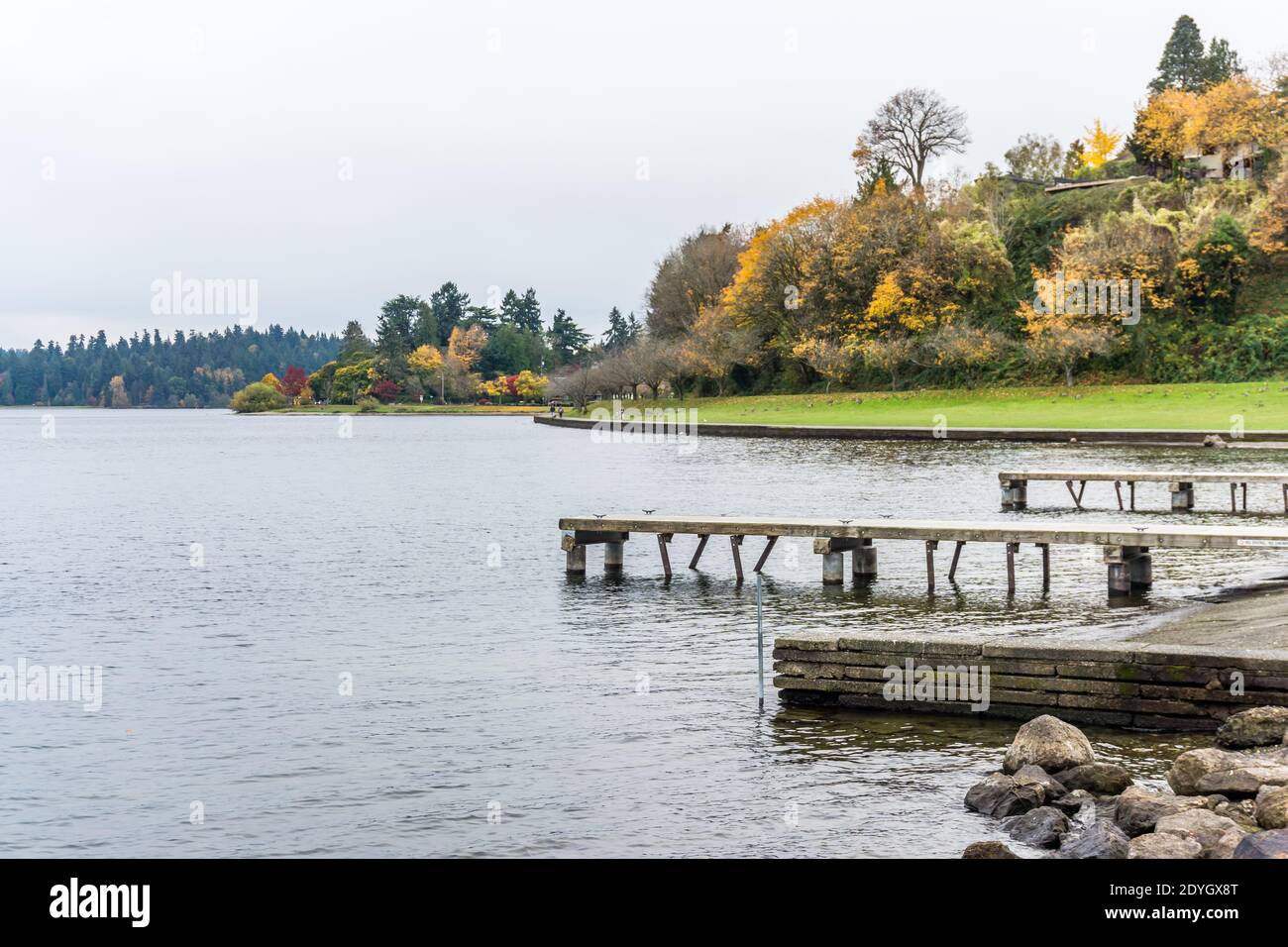 A view of autumn tree along Lake Washington in Seattle Stock Photo - Alamy
