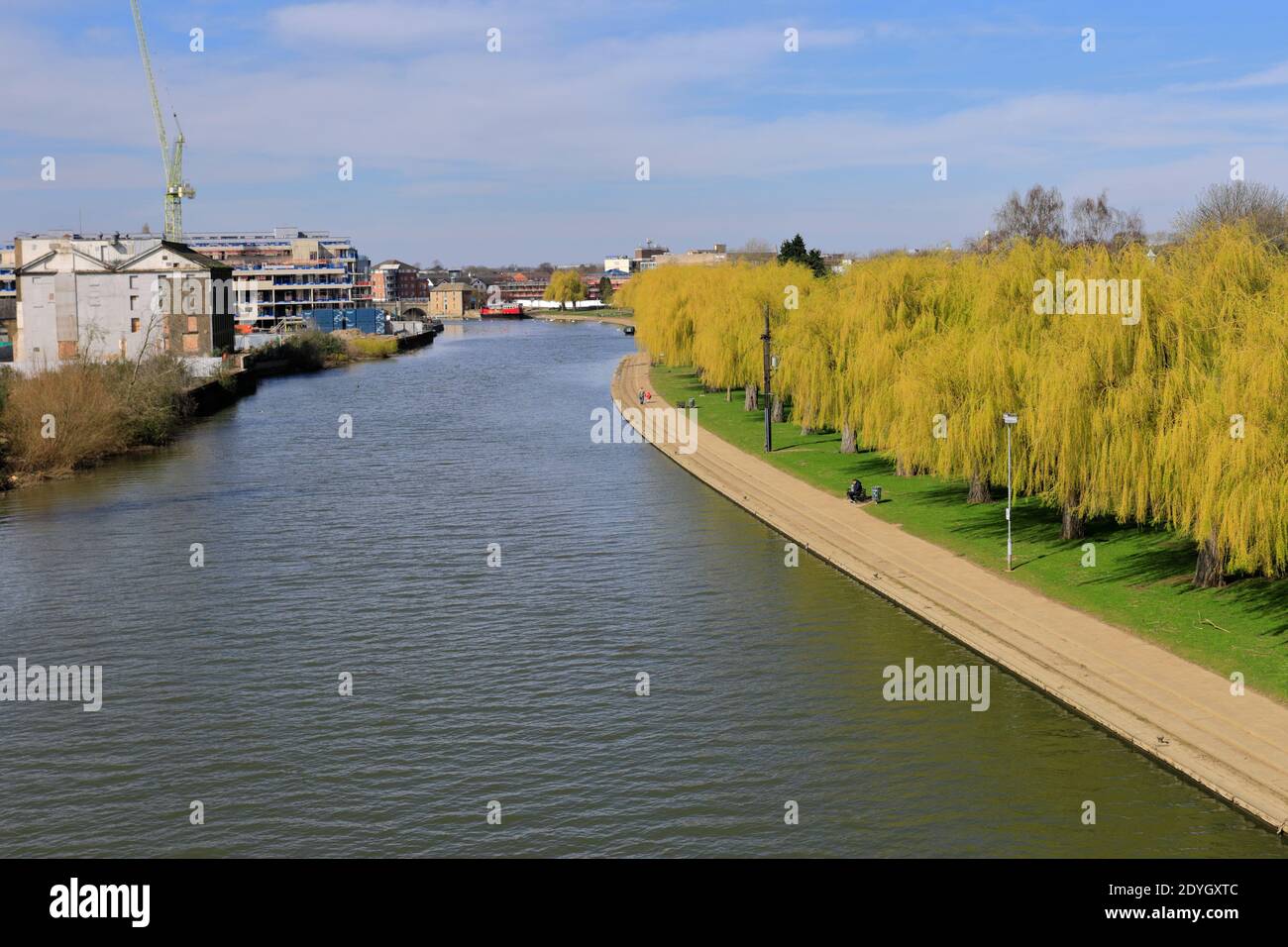Spring flowers, River Nene Embankment Gardens, Peterborough City ...