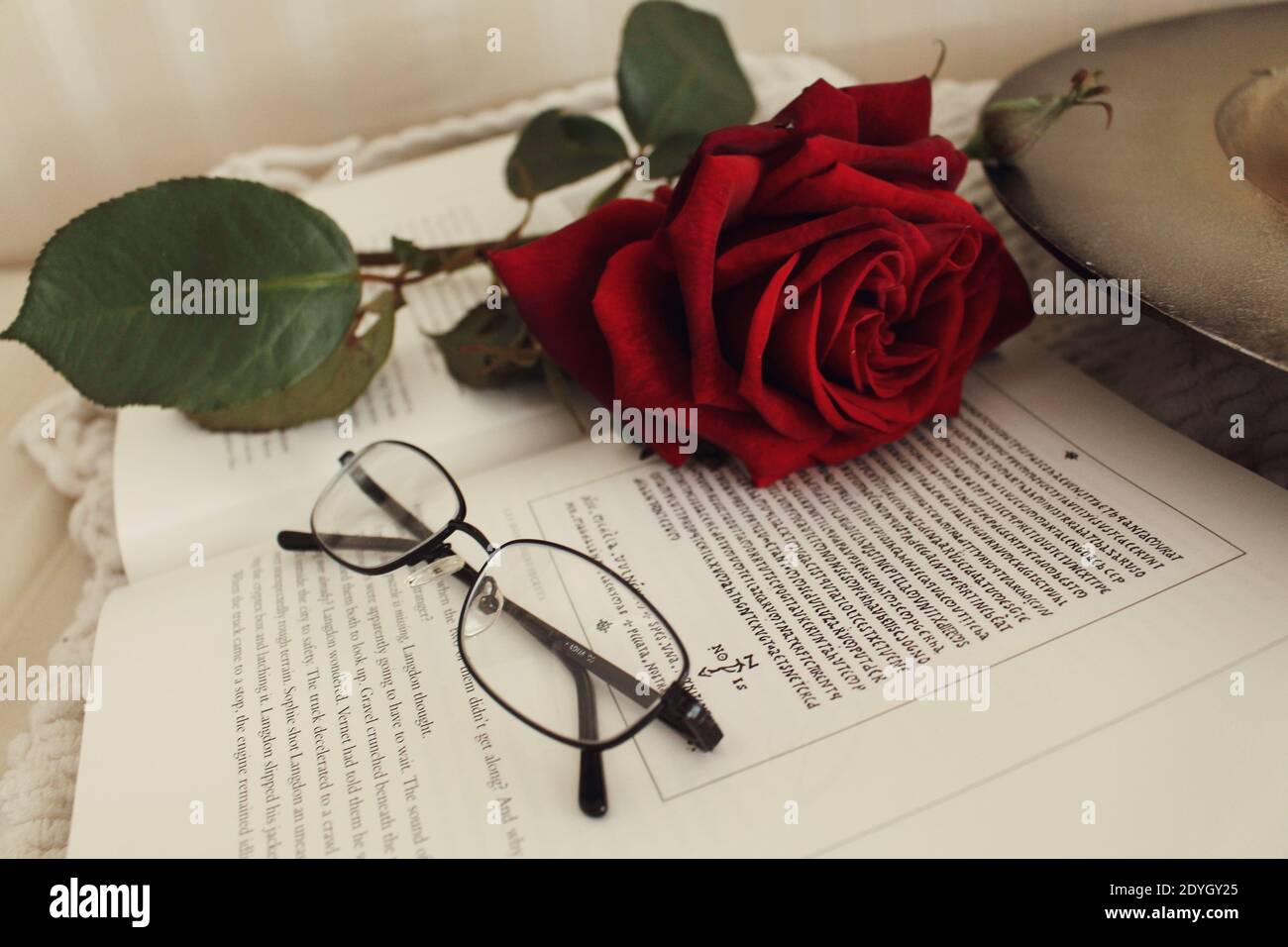Book paper rose hi-res stock photography and images - Alamy