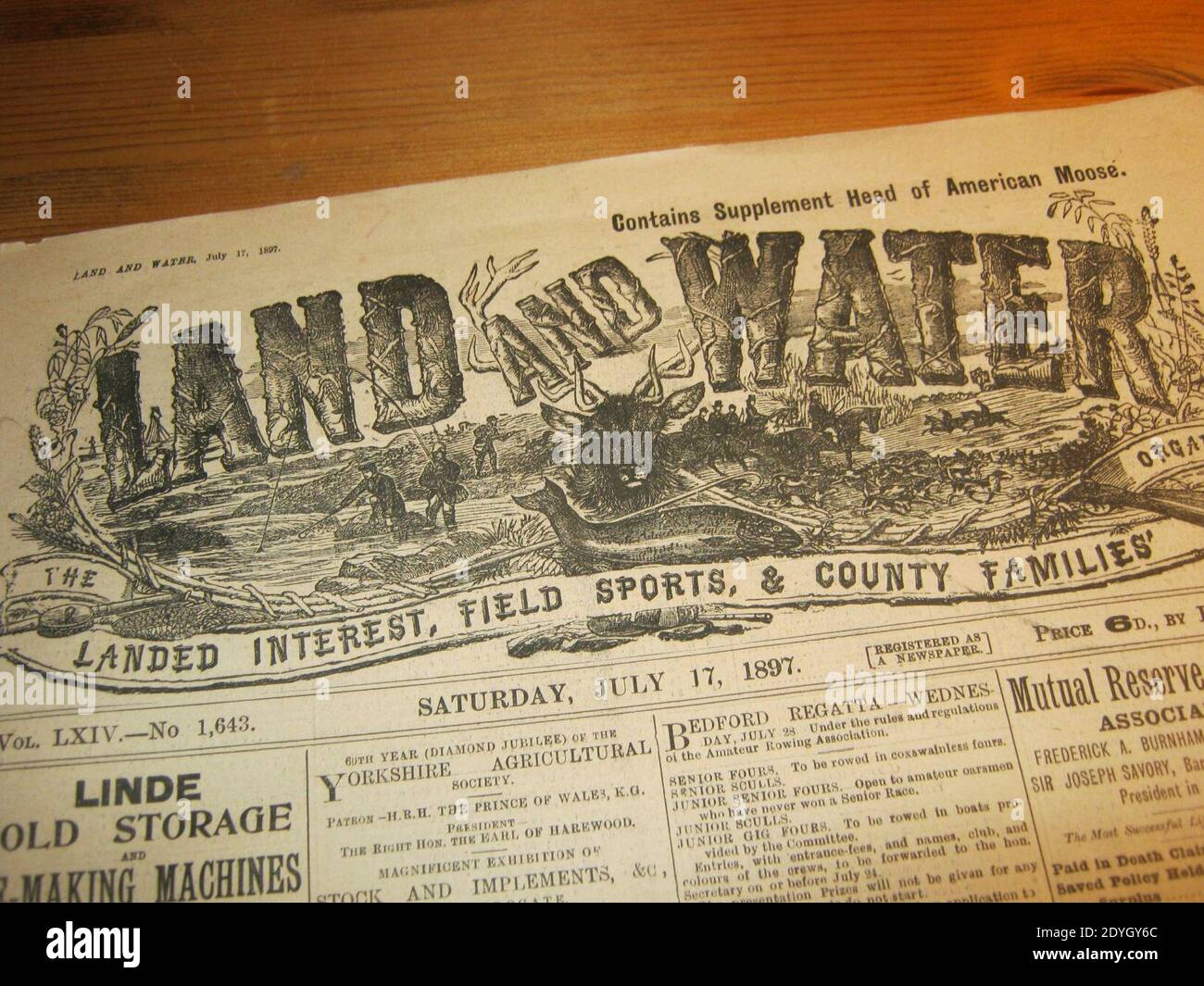 Water and newspaper hi-res stock photography and images - Alamy