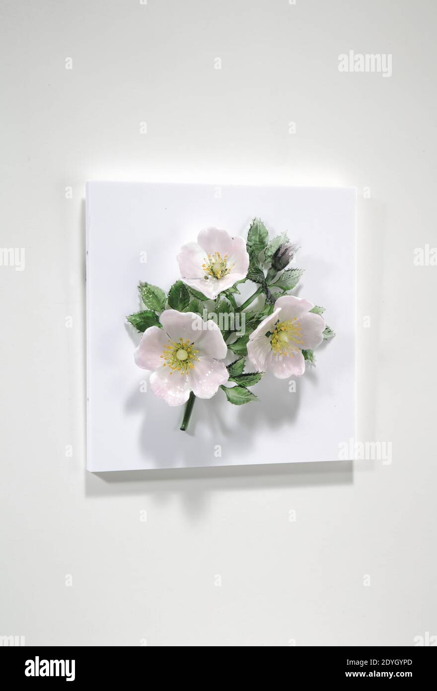 Sandra Young glass artist Stock Photo - Alamy