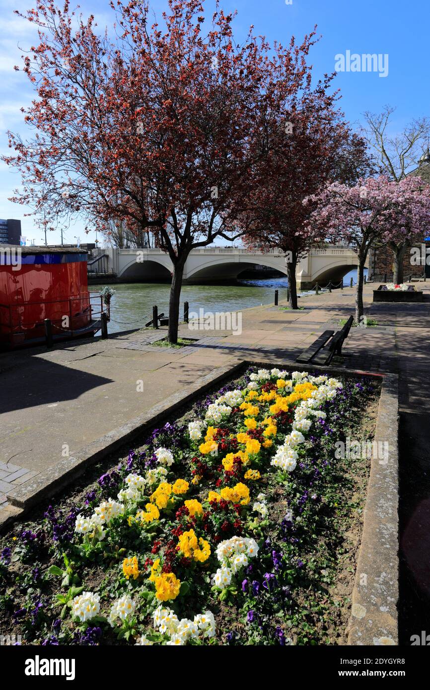 Spring flowers, River Nene Embankment Gardens, Peterborough City ...