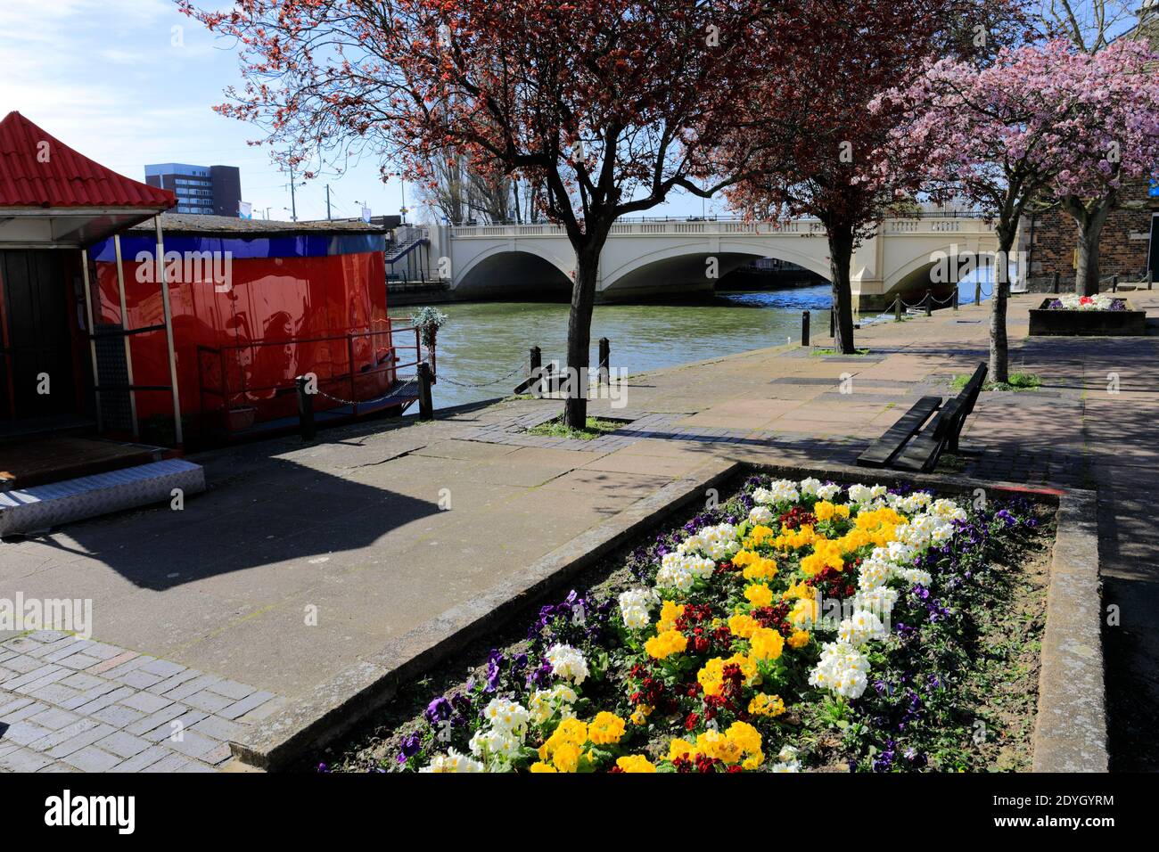 Spring flowers, River Nene Embankment Gardens, Peterborough City ...