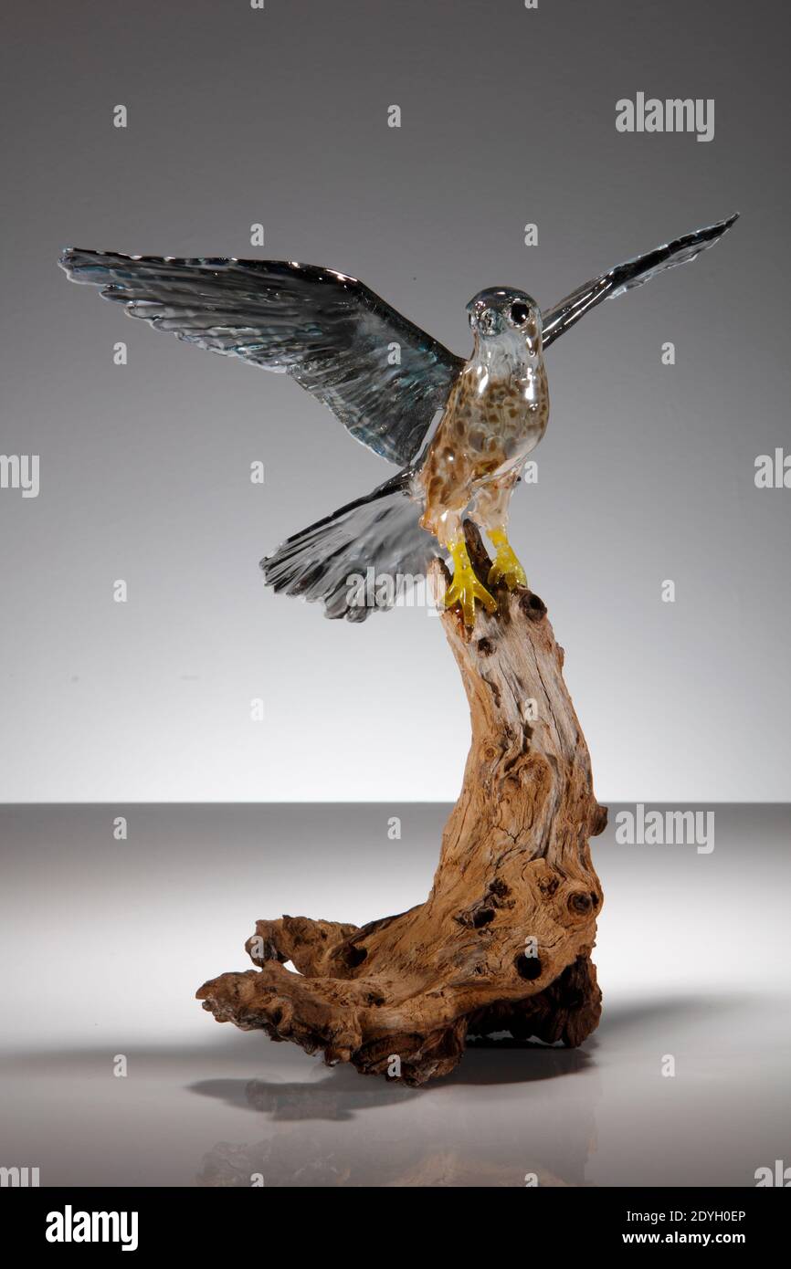 Sandra Young glass artist Stock Photo - Alamy