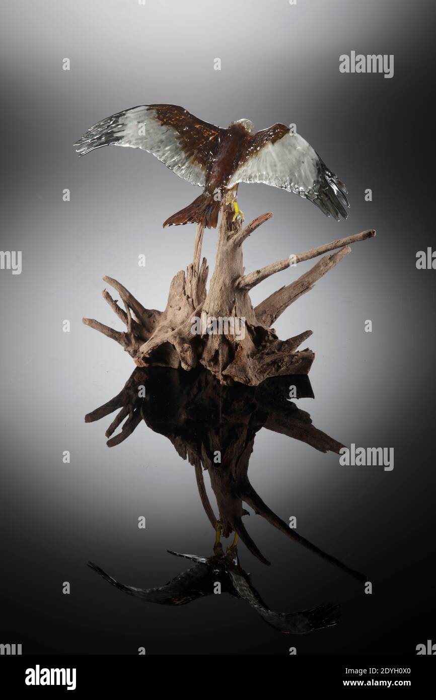 Sandra Young glass artist Stock Photo - Alamy