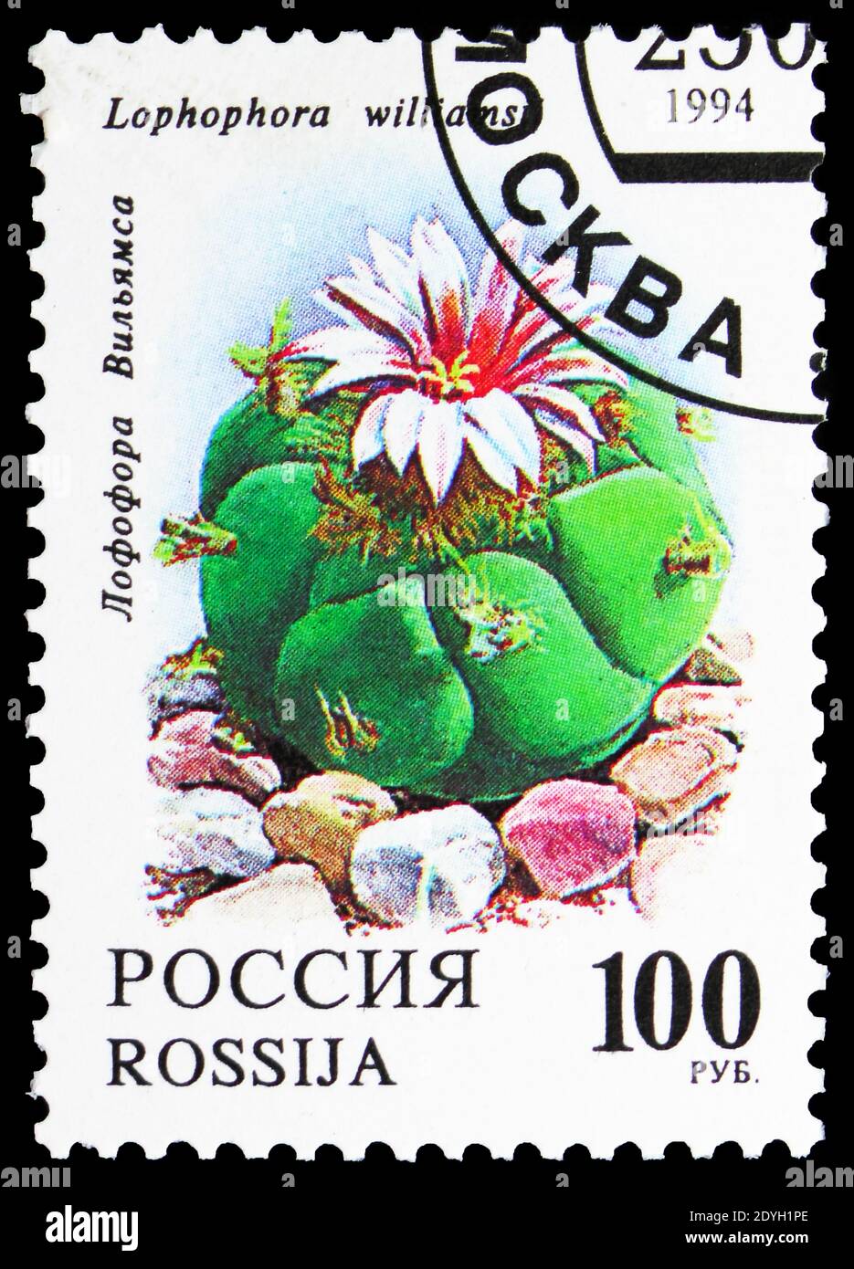 MOSCOW, RUSSIA - AUGUST 10, 2019: Postage stamp printed in Russia shows ...