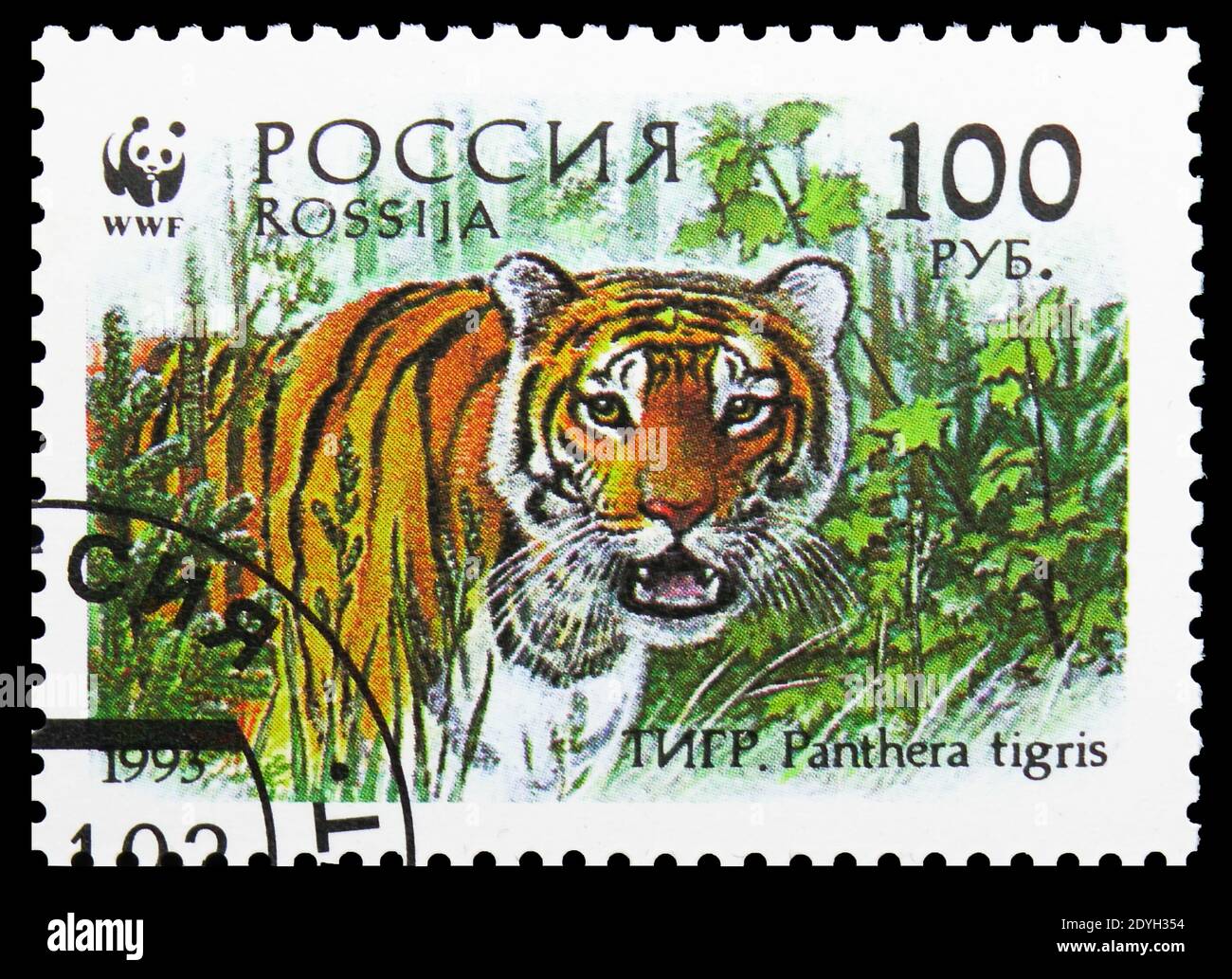 MOSCOW, RUSSIA - AUGUST 10, 2019: Postage stamp printed in Russia shows ...