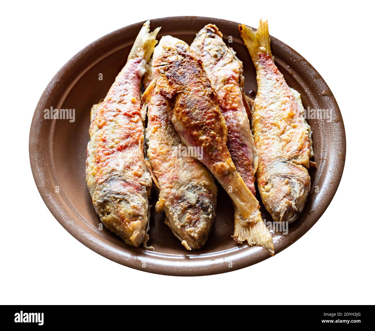 Mullet fish cutout hi-res stock photography and images - Alamy