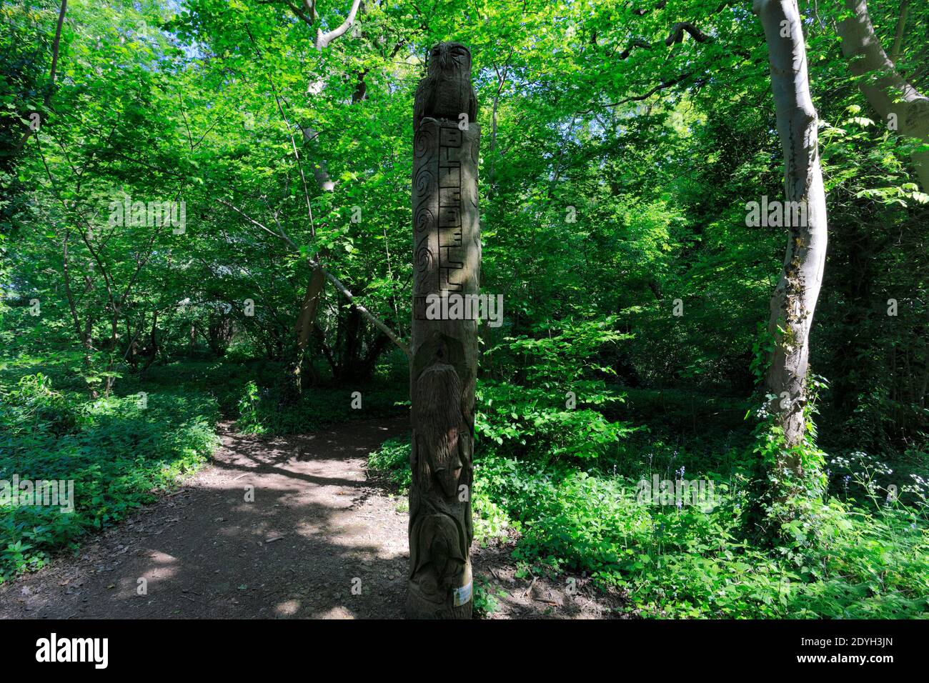 Totem Pole in Bluebell Woods, Ferry Meadows country park, Peterborough ...