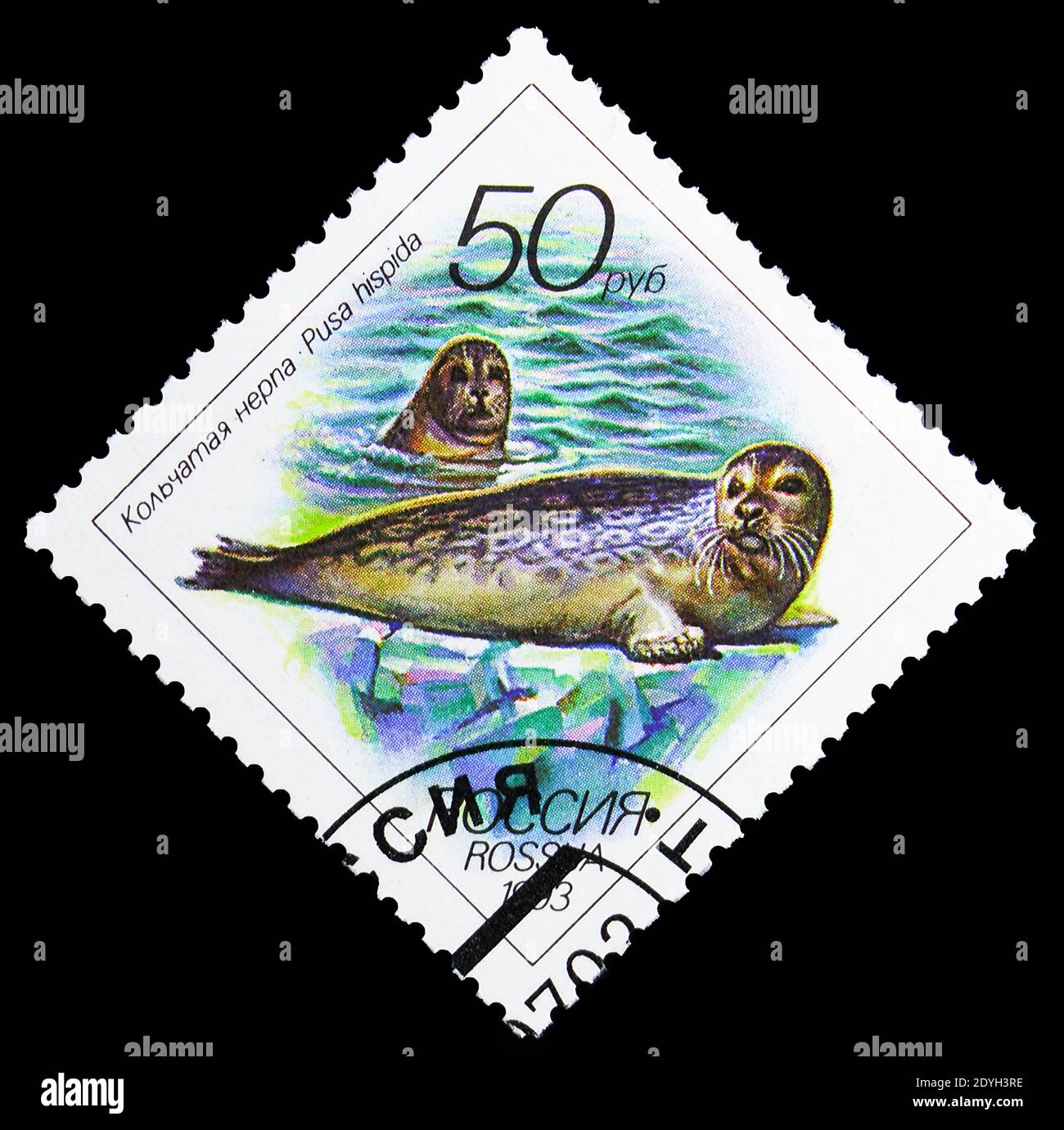 MOSCOW, RUSSIA - AUGUST 10, 2019: Postage stamp printed in Russia shows ...