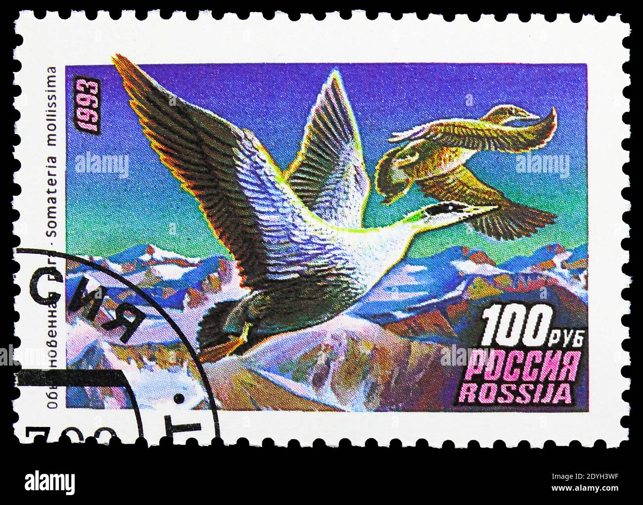 MOSCOW, RUSSIA - AUGUST 10, 2019: Postage stamp printed in Russia shows ...