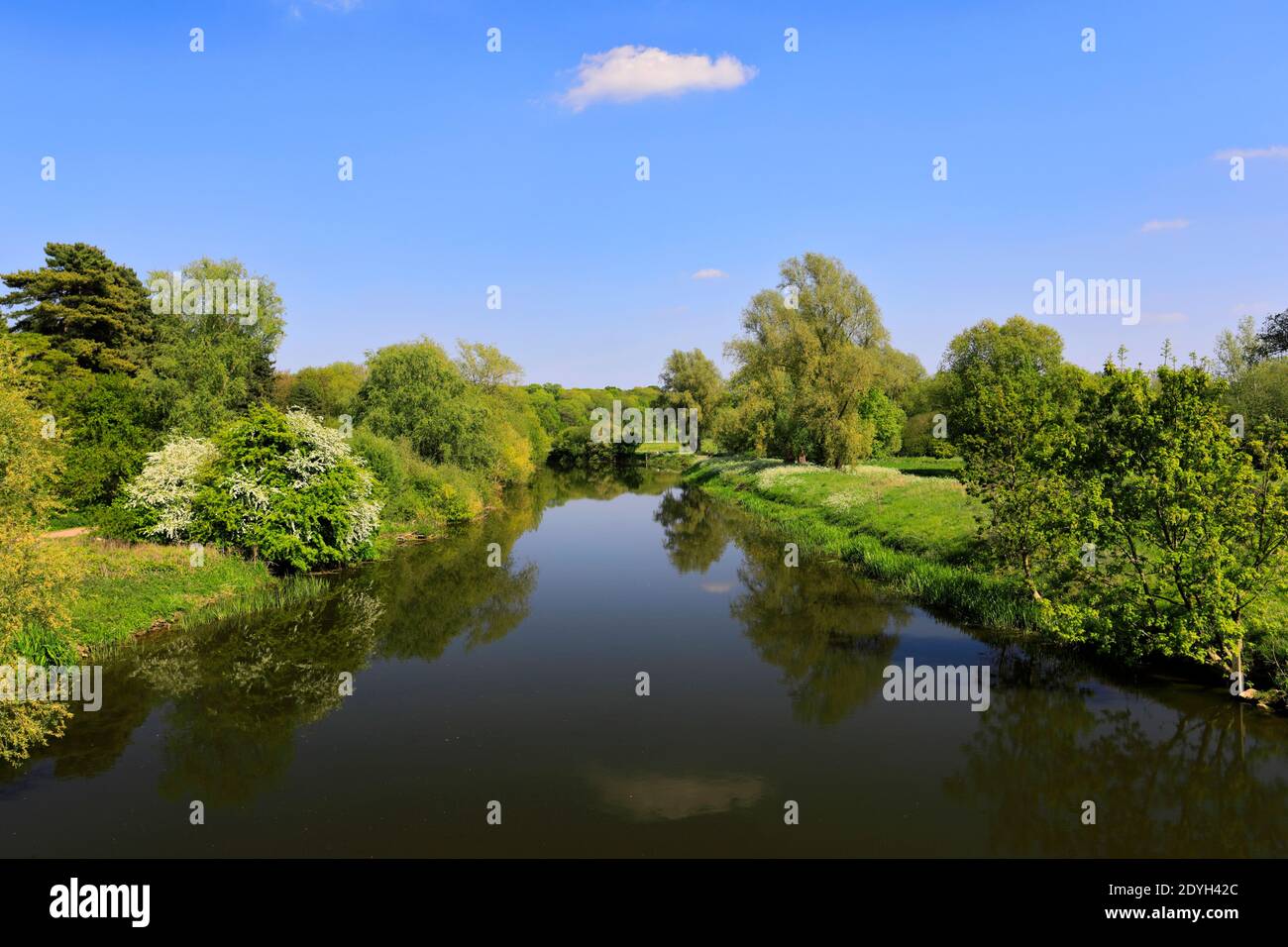 Summer view of the river Nene, Ferry Meadows country park, Peterborough ...