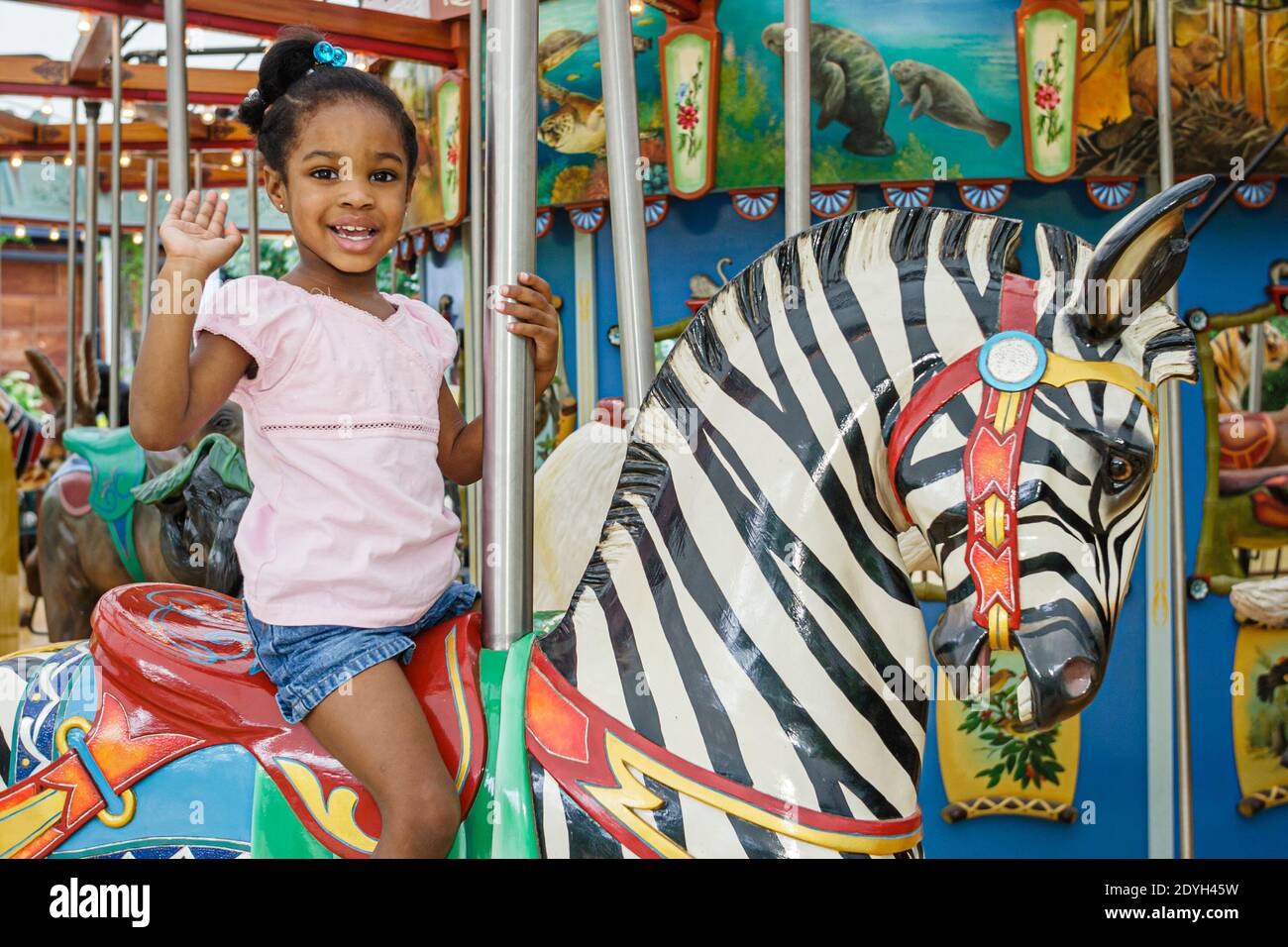 Zebra Riding Giraffe