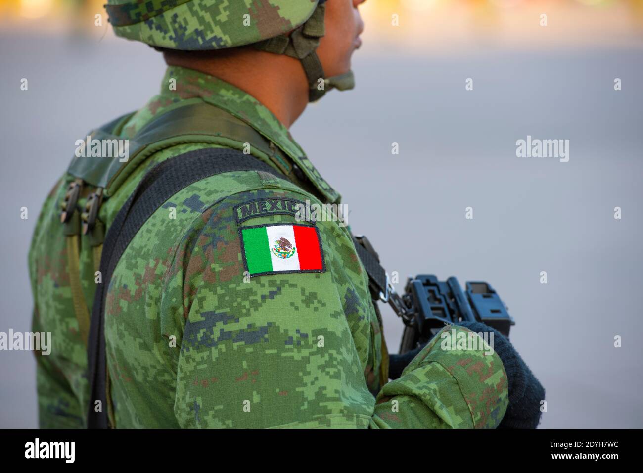 Raising Flag Guard of Honor stand on Zocalo in front of Metropolitan ...