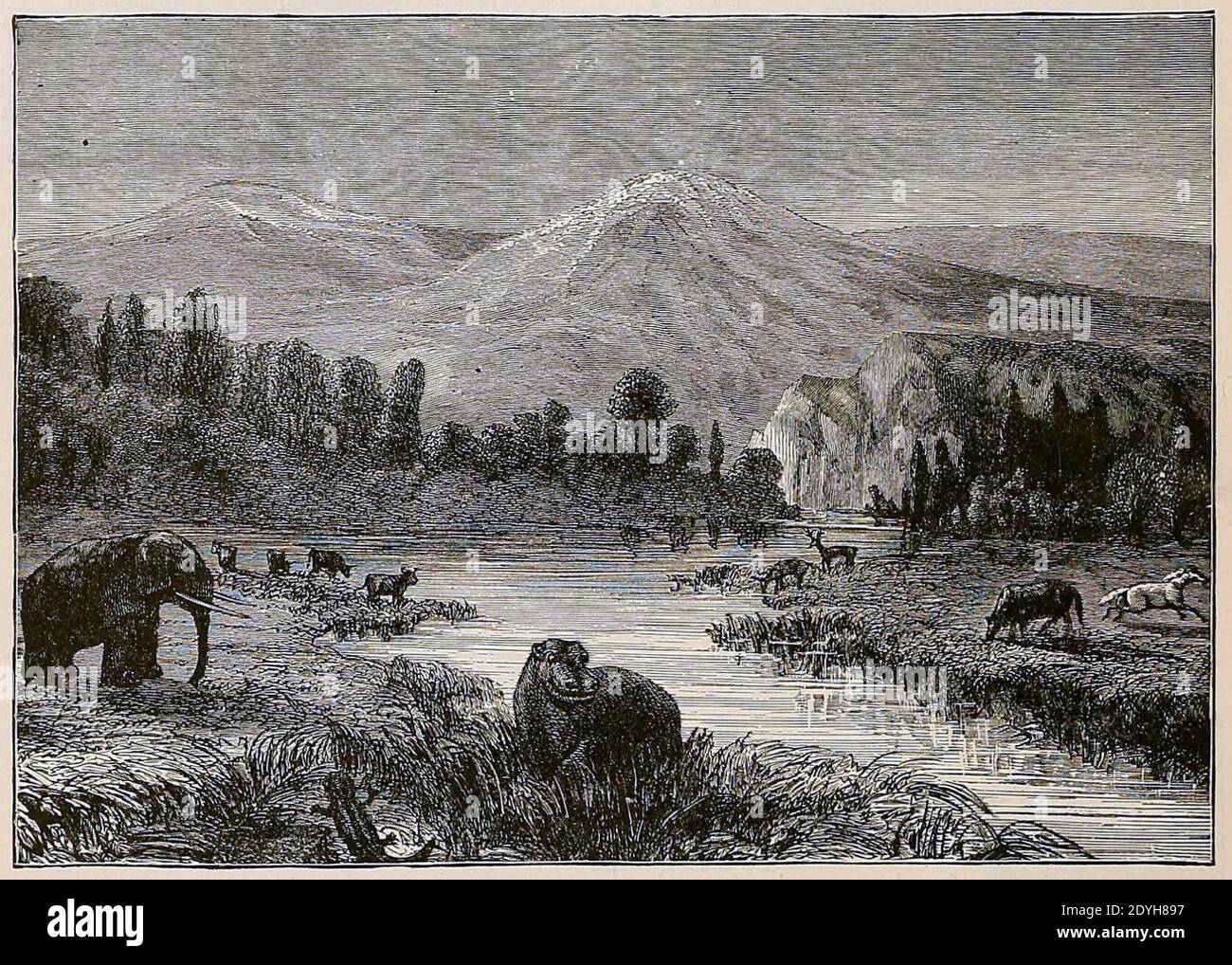 Landscape of the Pliocene epoch - showing environment at the time of ...