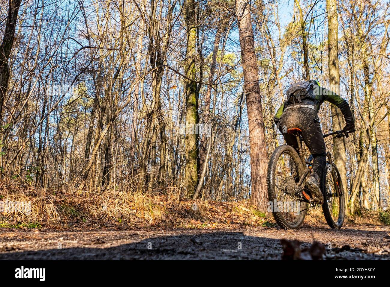 Mountain biking scene in a woodland Stock Photo - Alamy