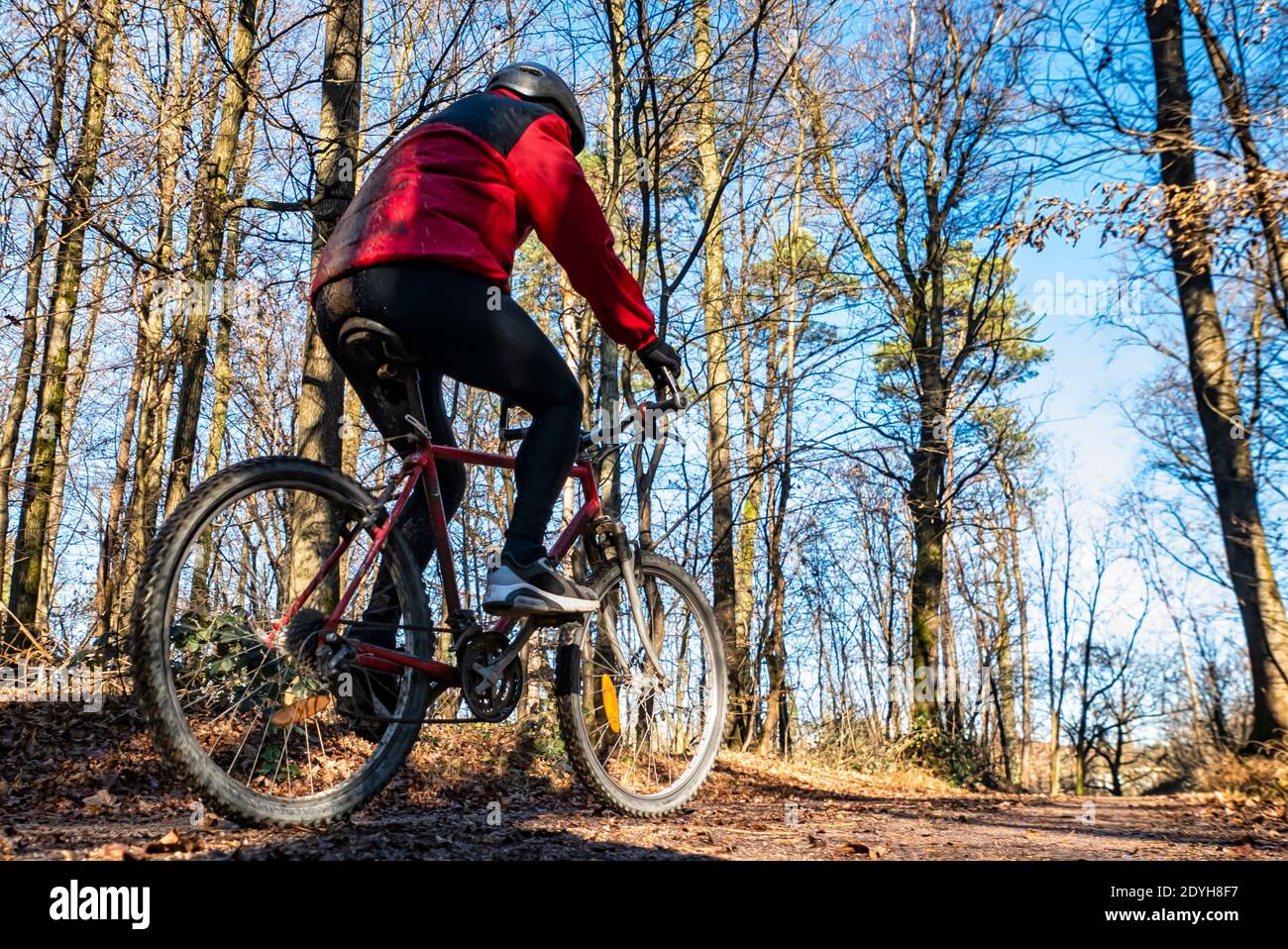 Mountain biking scene in a woodland Stock Photo - Alamy
