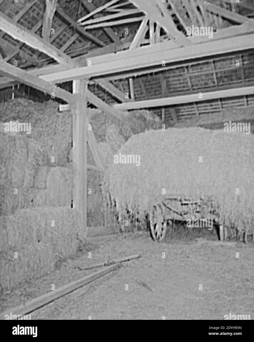 Lancaster County, Pennsylvania. Hay in barn, Enos Royer farm, 1938 by ...