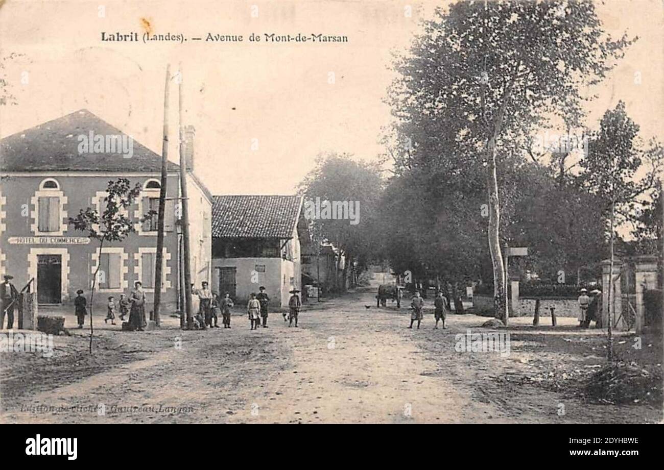 Labrit hi-res stock photography and images - Alamy