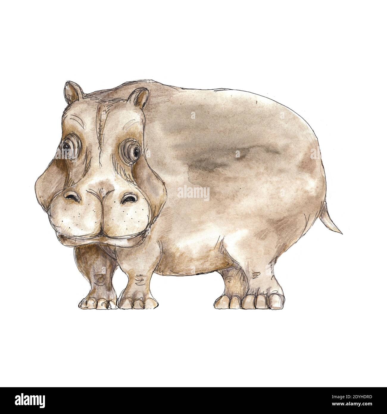 African horse safari hi-res stock photography and images - Alamy