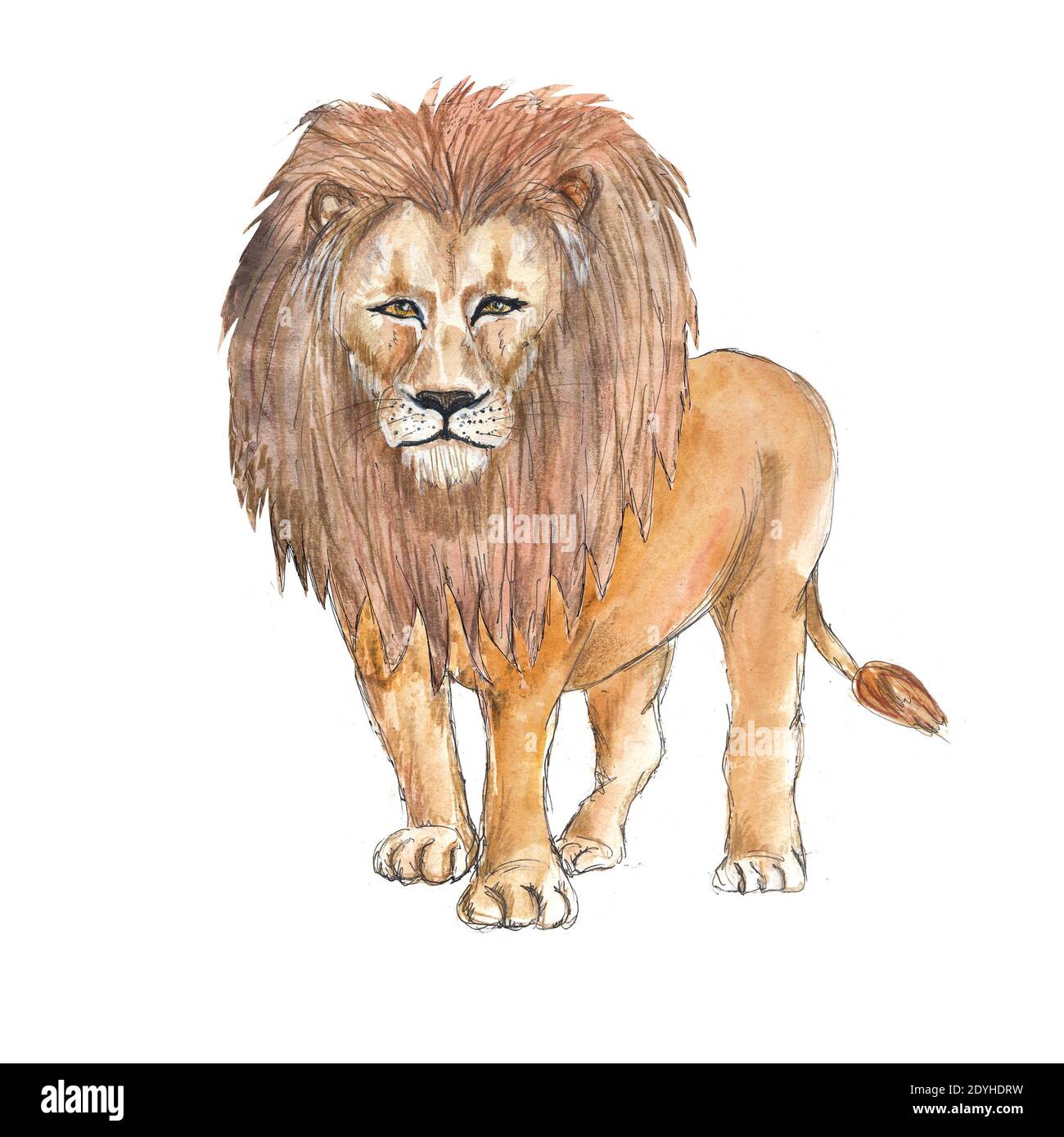 Lion and pen logo hi-res stock photography and images - Alamy