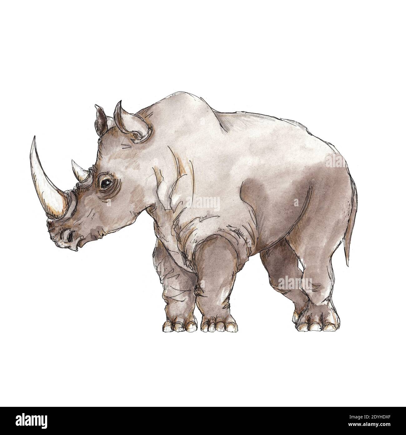 Safari african Cut Out Stock Images & Pictures - Alamy