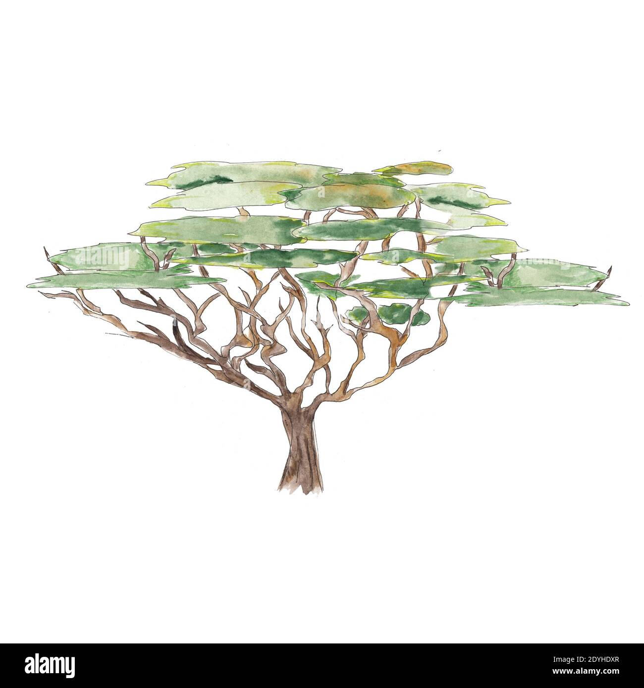 African savanna Cut Out Stock Images & Pictures - Alamy