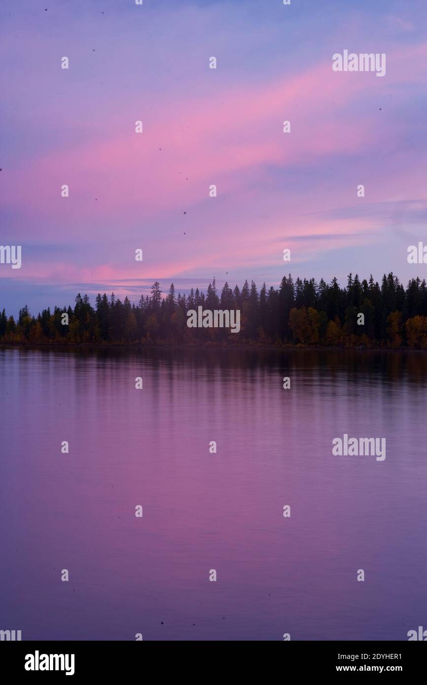 Bosque de Taiga en otoño. Finlandia. Europa Stock Photo - Alamy