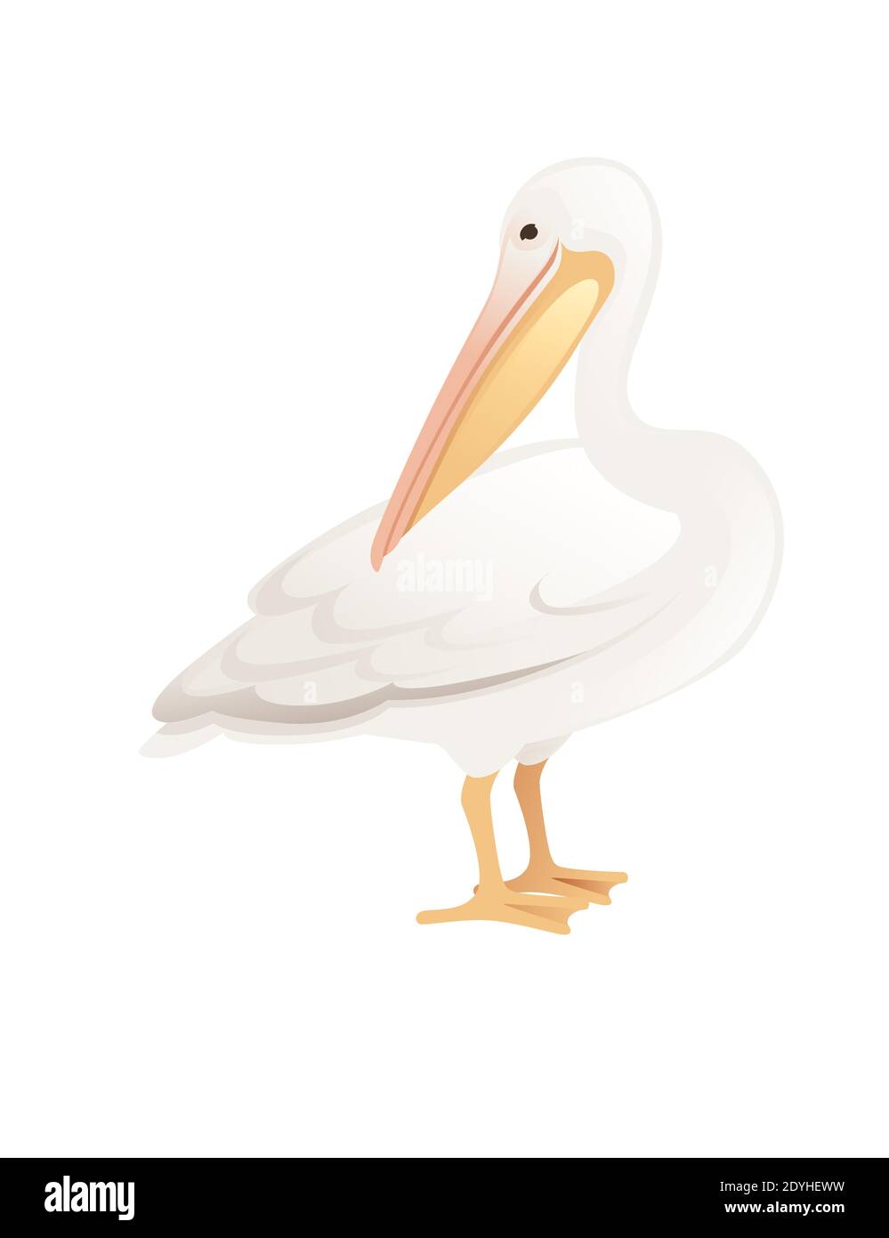 Pelican genus large water bird cartoon animal design big white bird ...