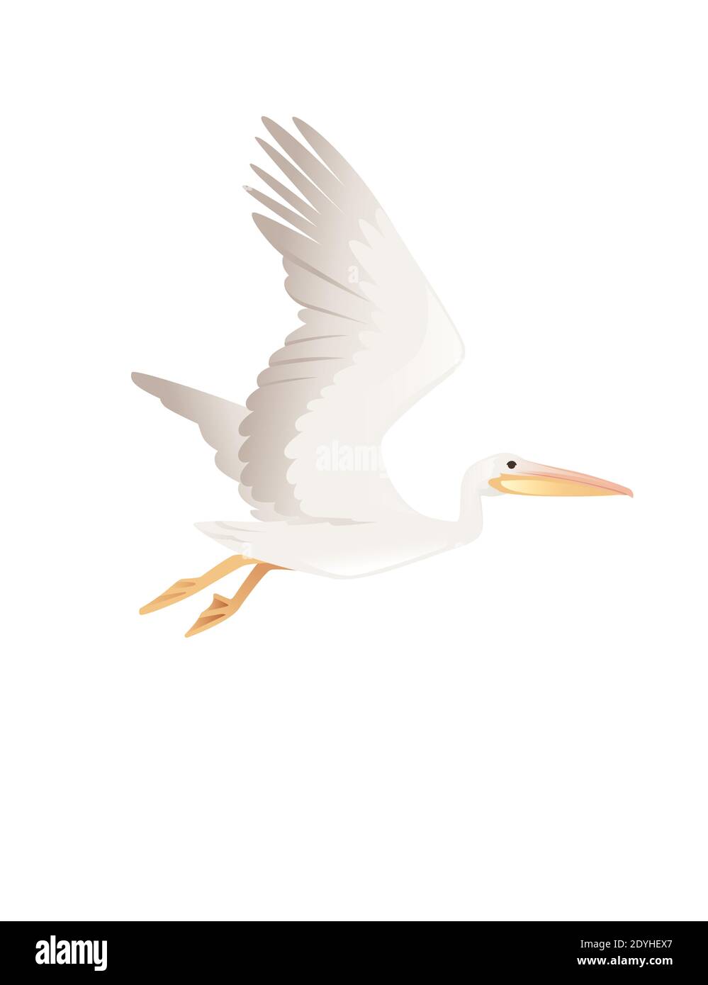 Pelican genus large water bird cartoon animal design big white bird ...