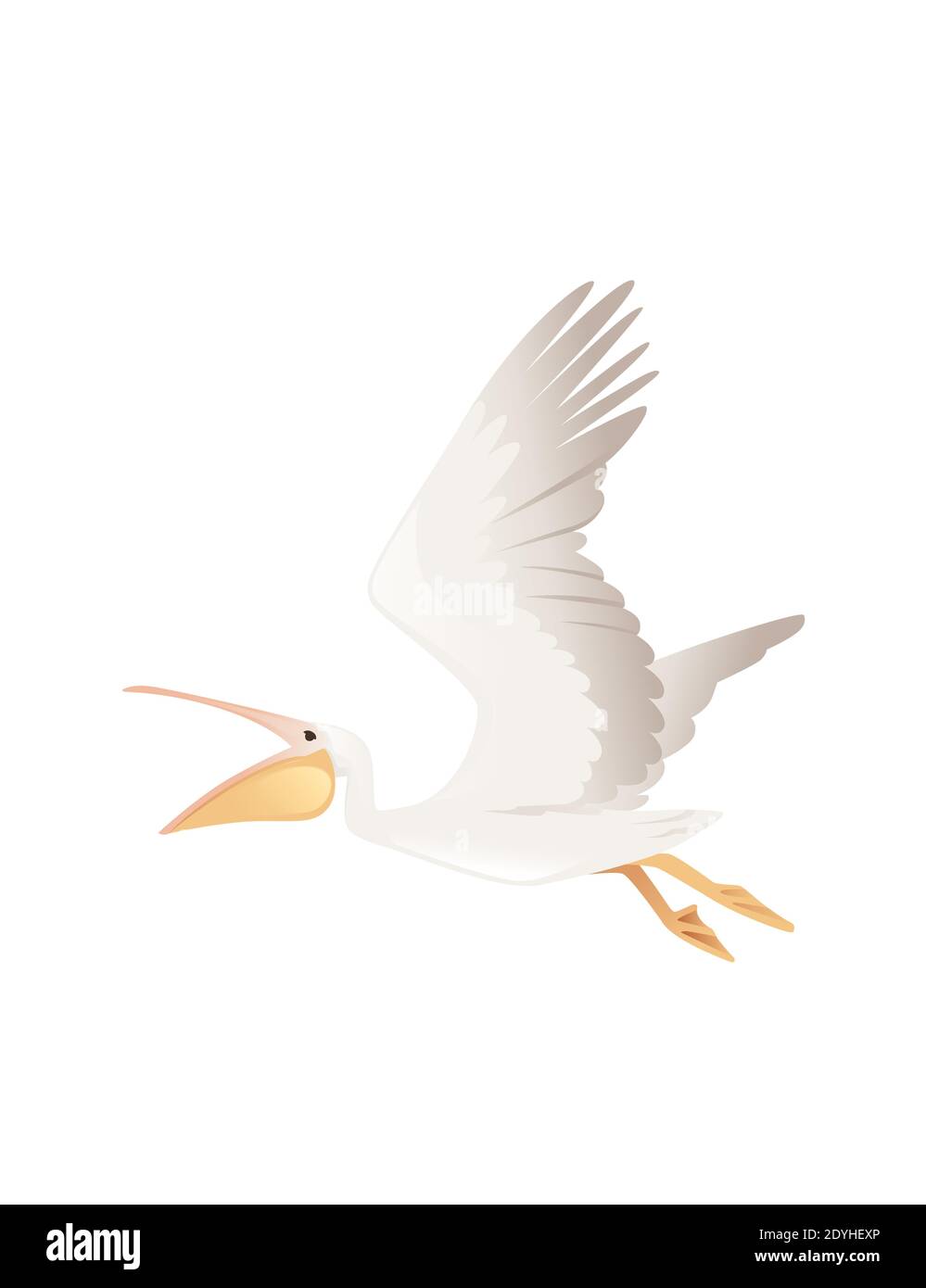Pelican genus large water bird cartoon animal design big white bird ...