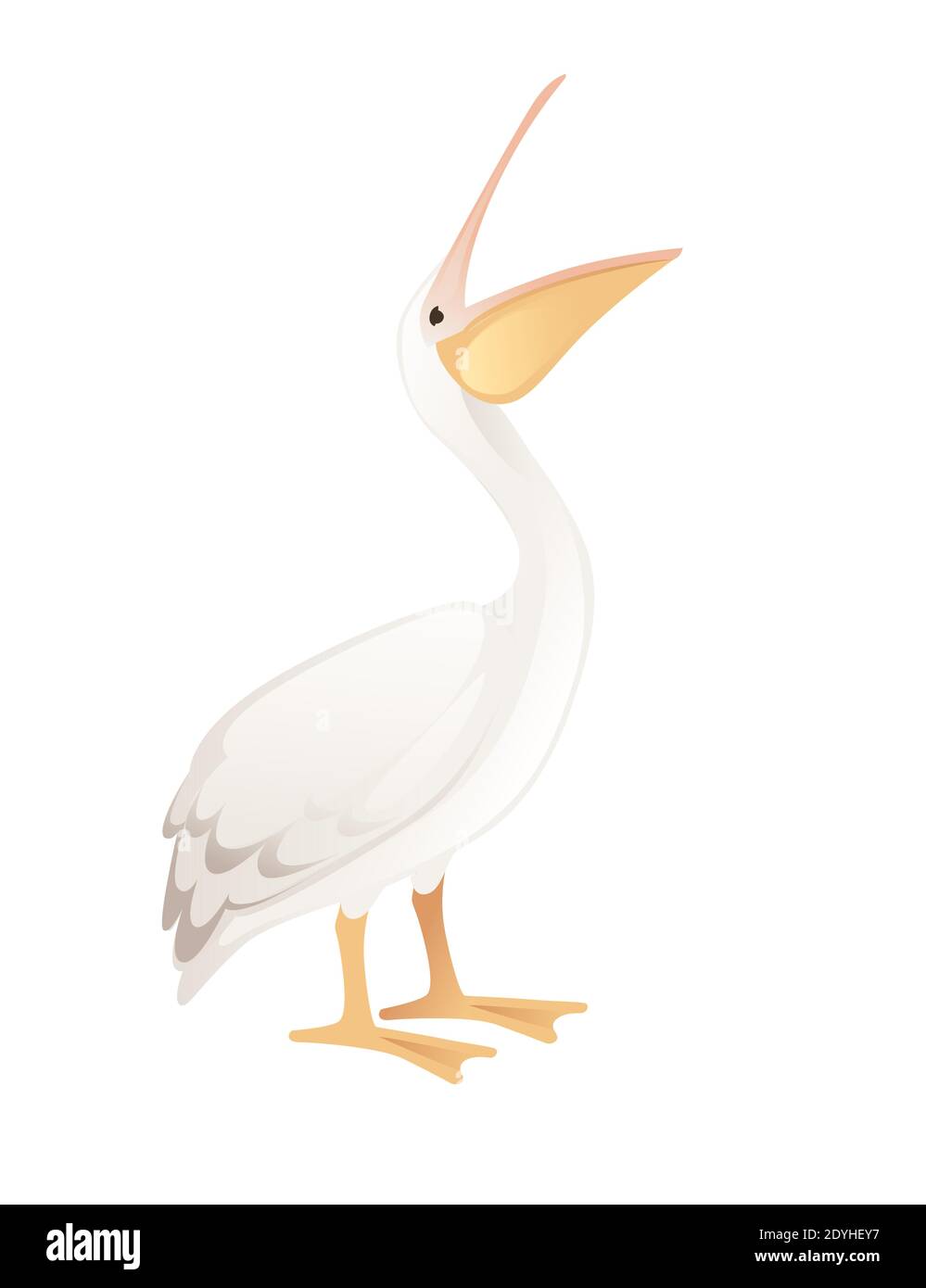 Pelican genus large water bird cartoon animal design big white bird ...