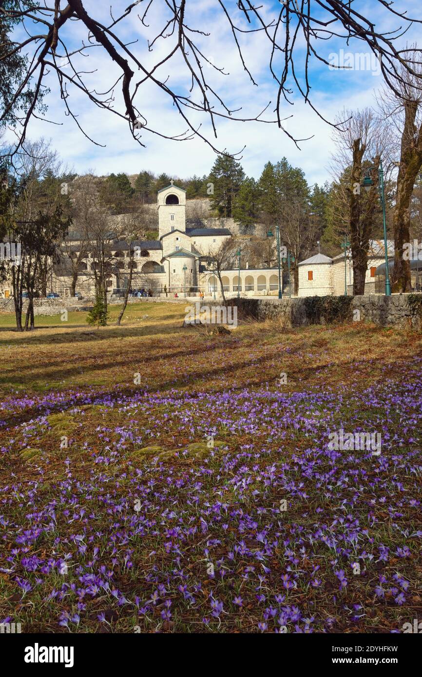Montenegro, February day in Cetinje city. View of ancient Cetinje ...