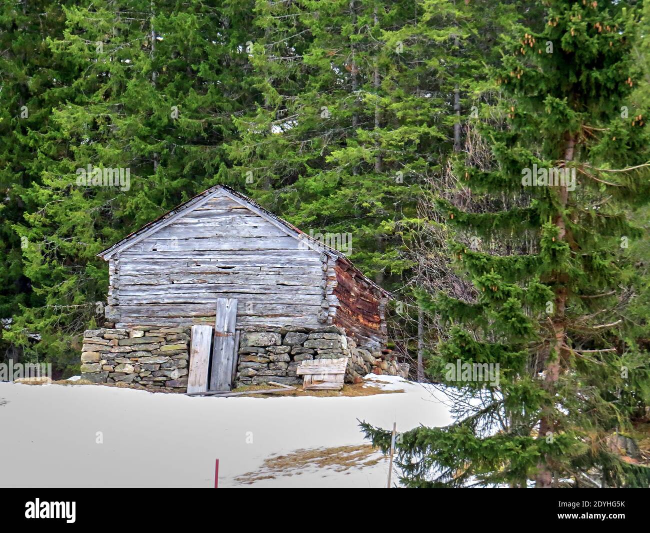 Traditional wooden house in the forest Stock Photo - Alamy