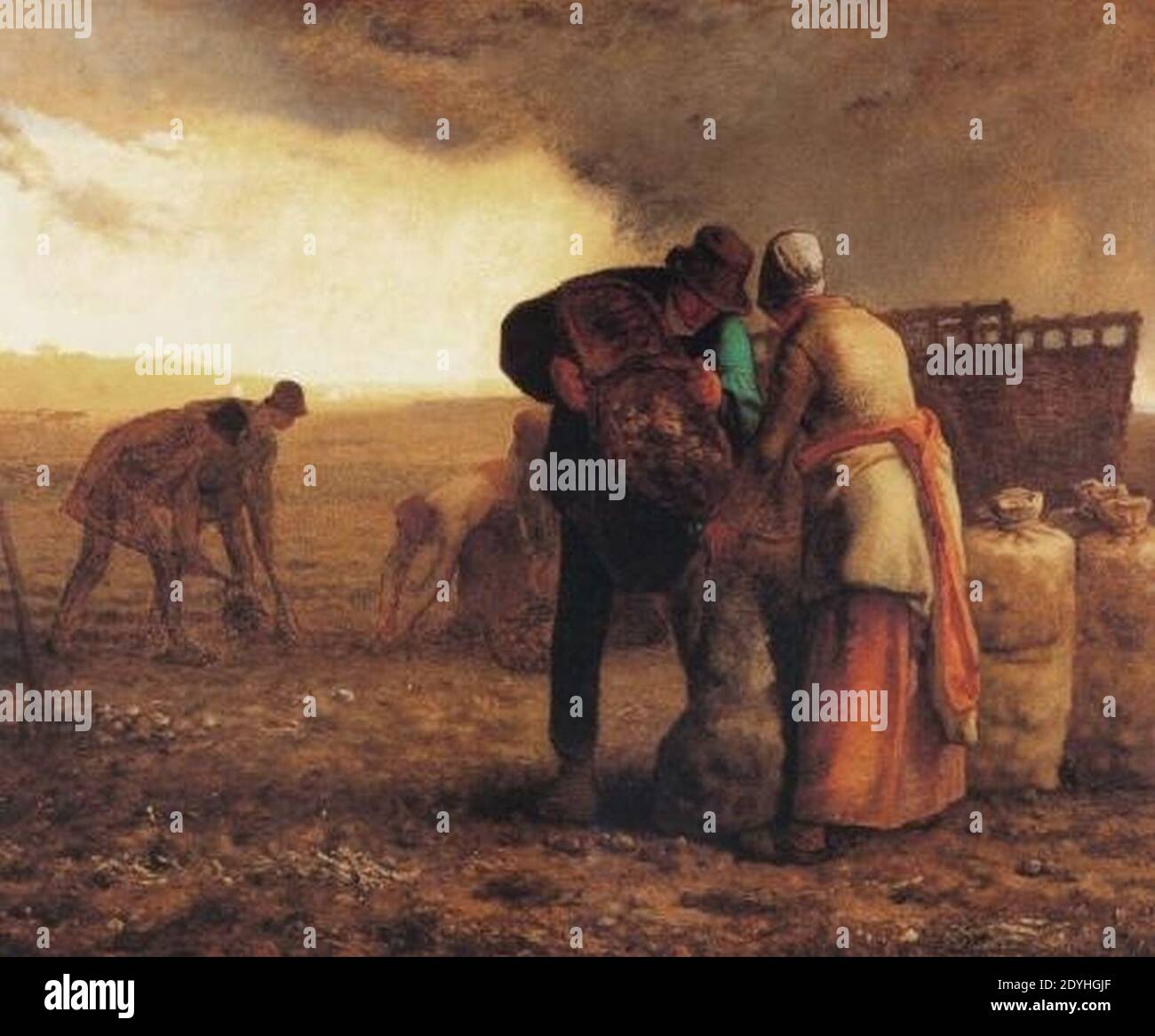 Scene de recolte hi-res stock photography and images - Alamy