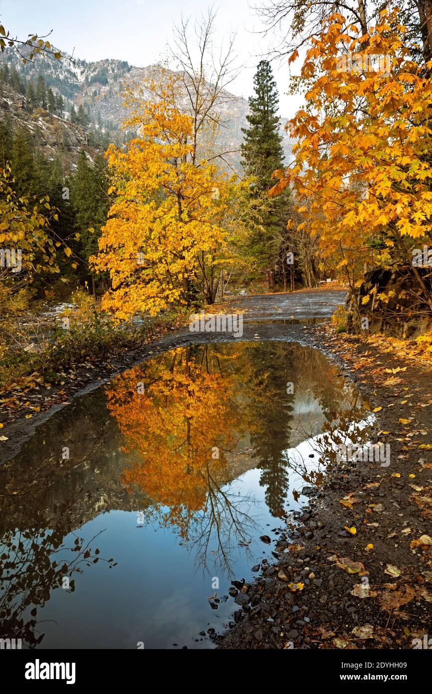 WA18879-00...WASHINGTON - Reflection in puddle at Wenatchee River ...