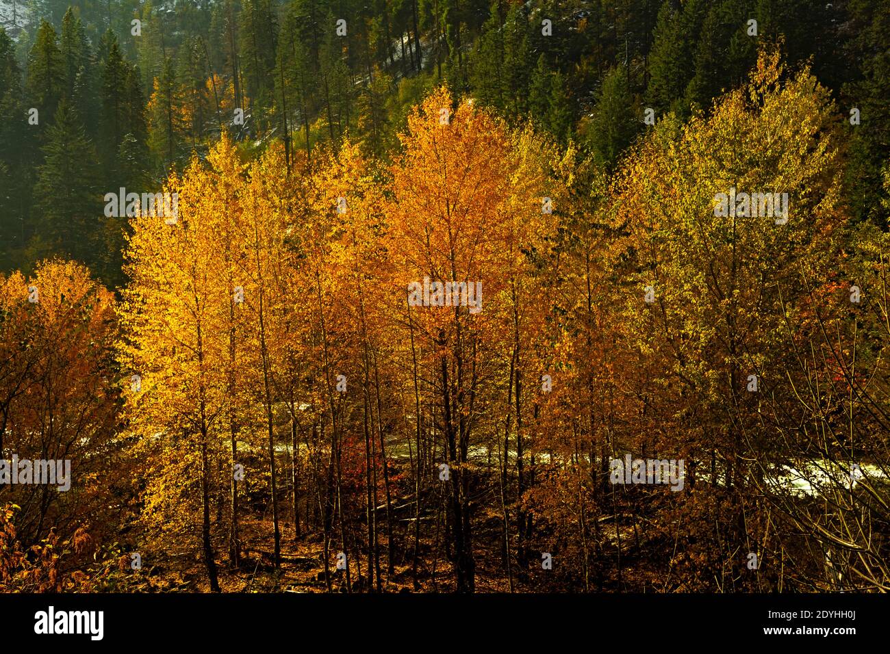 Tumwater mountain hi-res stock photography and images - Alamy