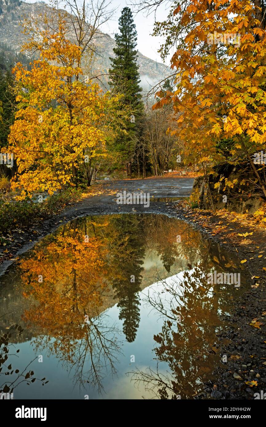 WA18882-00...WASHINGTON - Reflection in puddle at Wenatchee River ...