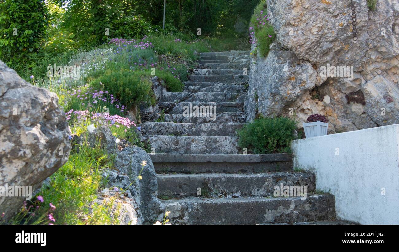 Stone stairs in forest hi-res stock photography and images - Alamy