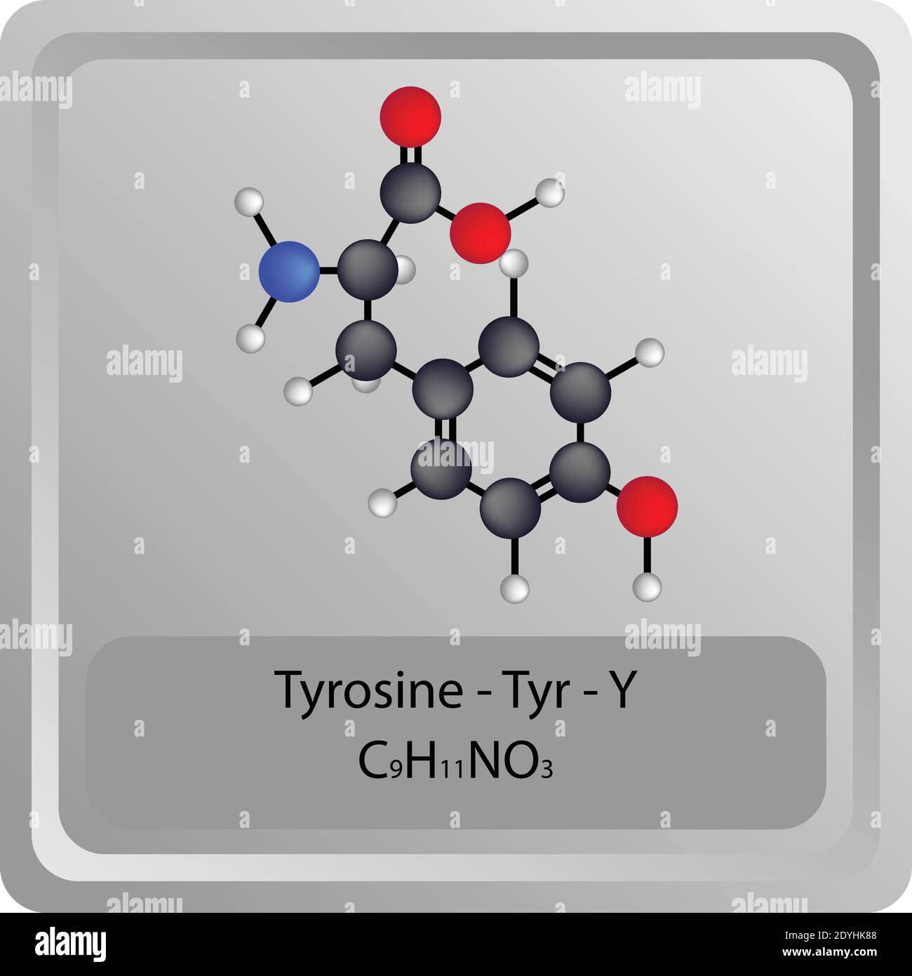 Tyrosine Amino Acid Structure