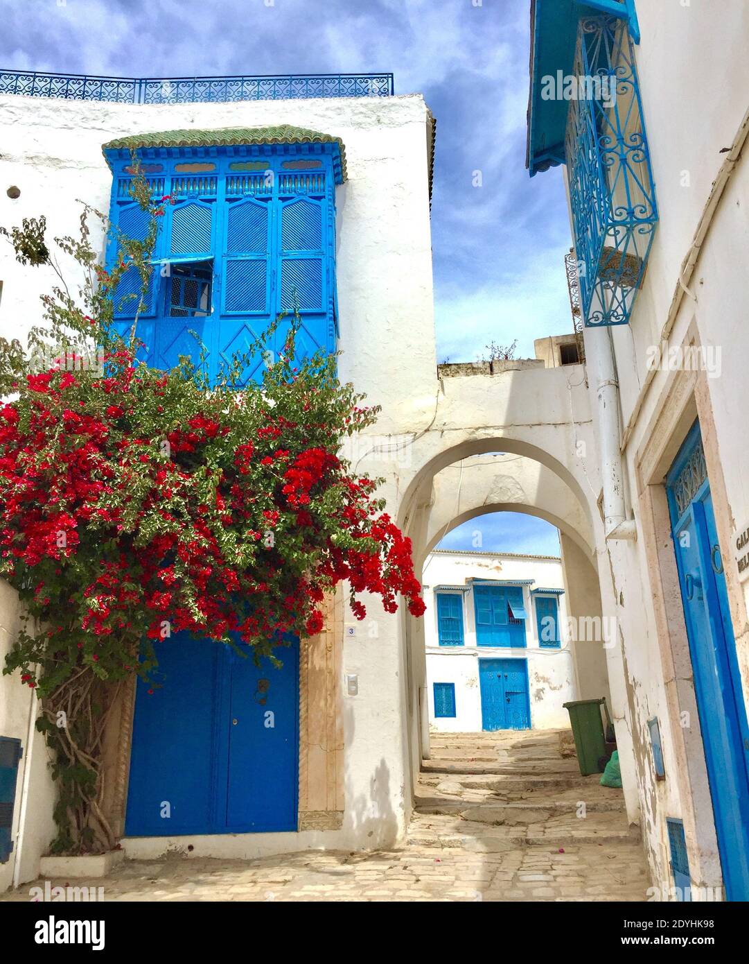 A vertical shot of beautiful buildings in Sidi Bou Said, streets of a ...