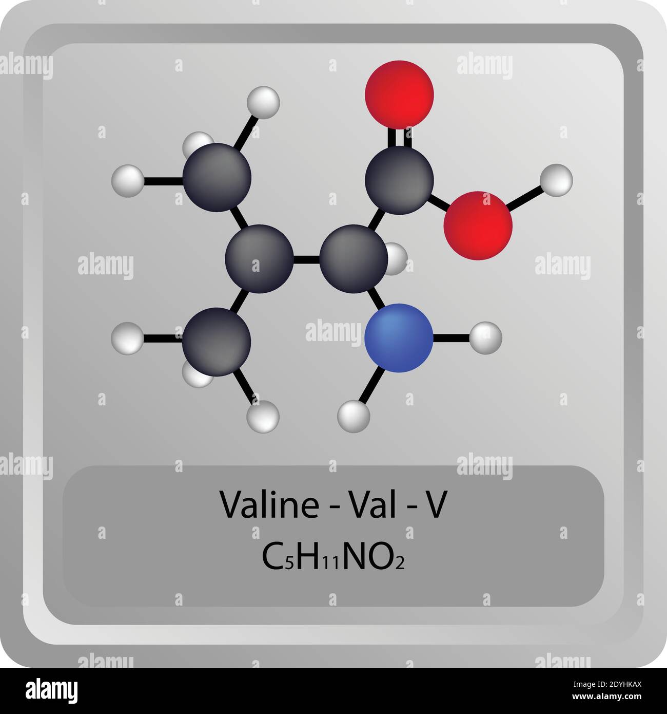 Valine Val V Amino Acid Chemical Structure Molecular Formula Ball And Stick Model Molecule